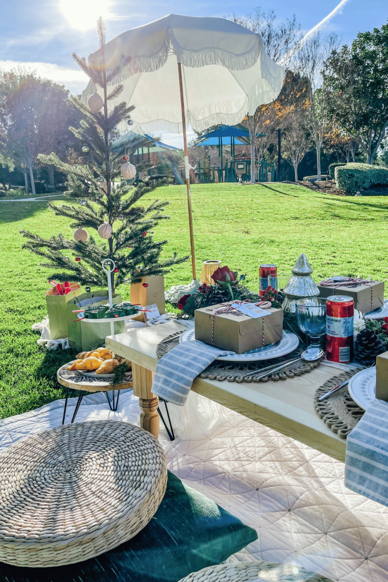 13 Festive Christmas Picnic Ideas to Celebrate The Season Outdoors - My ...
