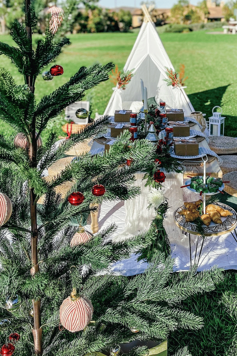 13 Festive Christmas Picnic Ideas to Celebrate The Season Outdoors - My ...