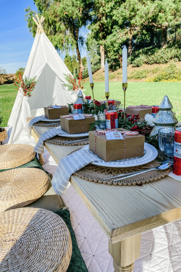 13 Festive Christmas Picnic Ideas to Celebrate The Season Outdoors - My ...